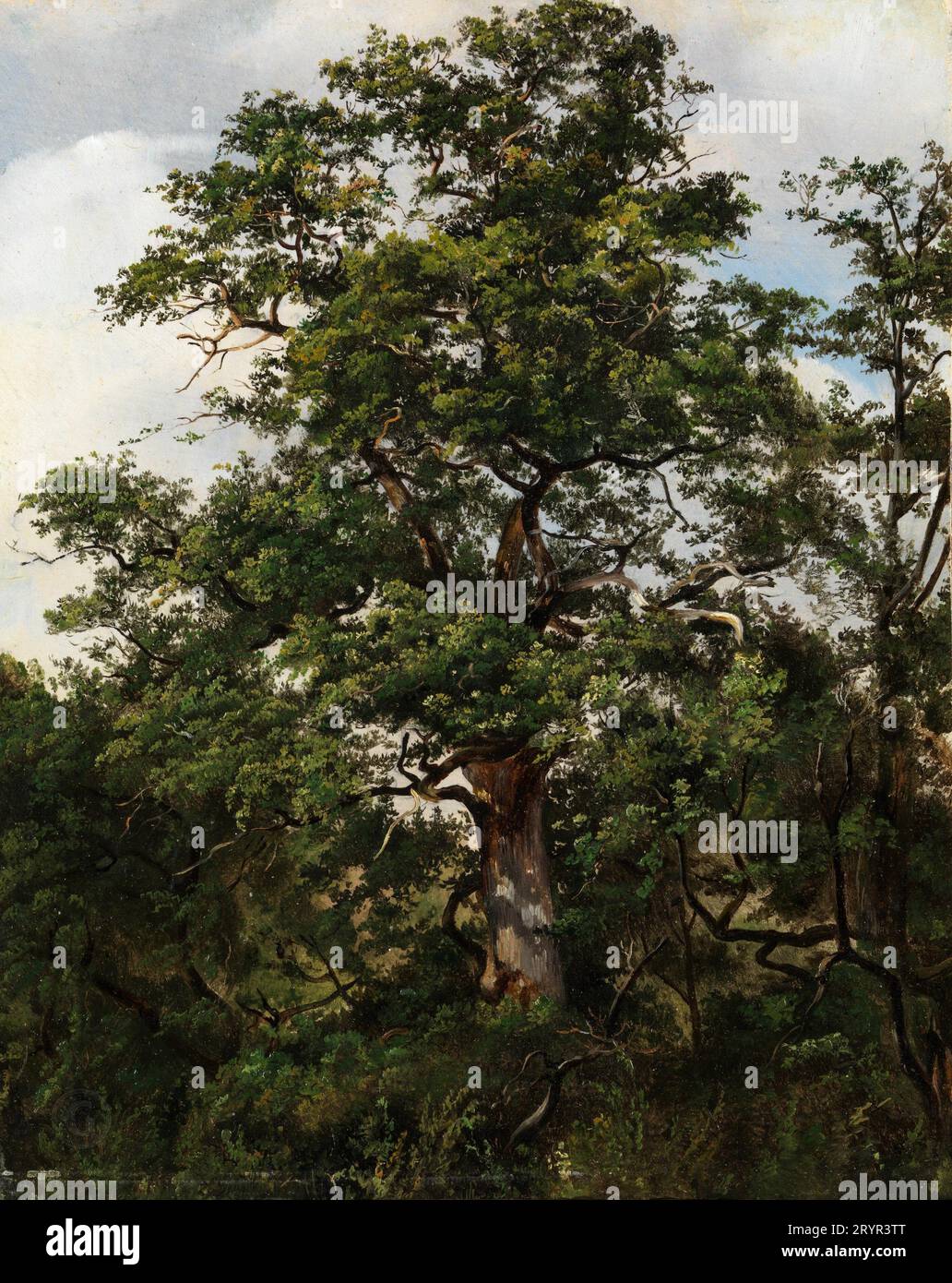 1847 morillon hi-res stock photography and images - Alamy