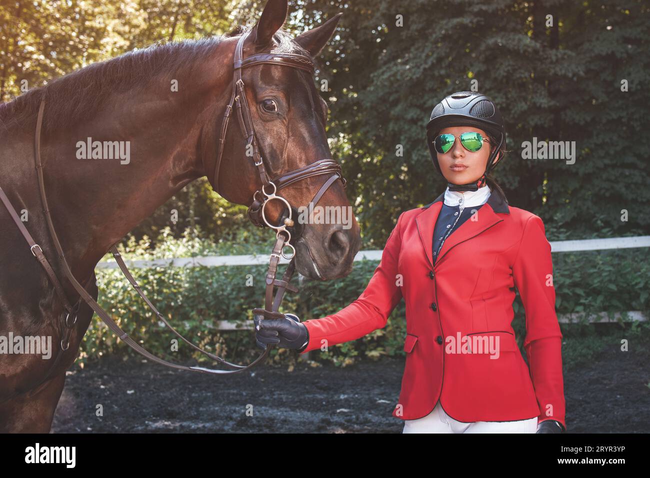Girl rider and a horse posing in spring forest.She loves the animals ...