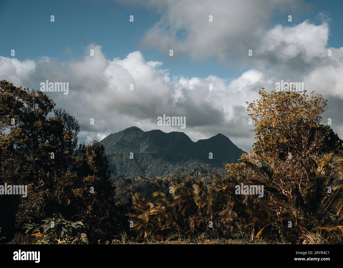 Pitons on Santa Lucia, La Souffriere bay during sunset with blue sky and cotton candy clouds ...