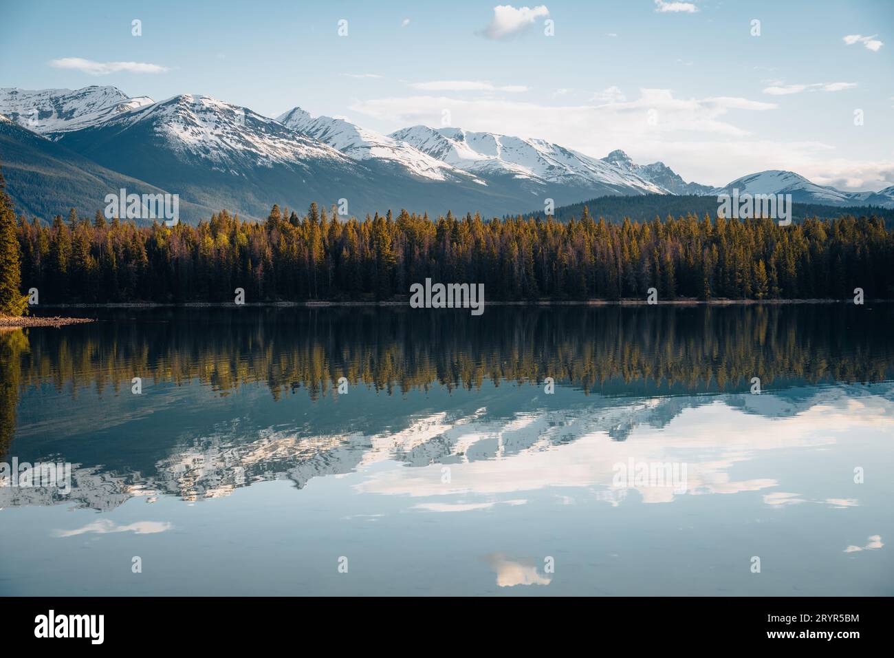 Lake Edith and Annette with trees and reflection. Jasper National Park ...