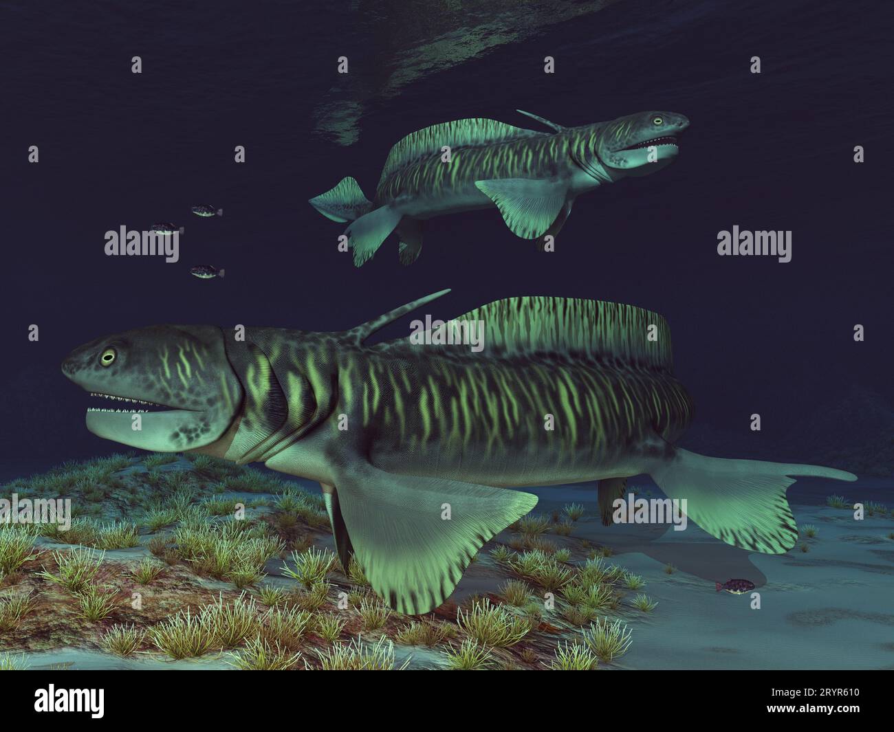 Prehistoric shark Orthacanthus in an underwater landscape Stock Photo ...
