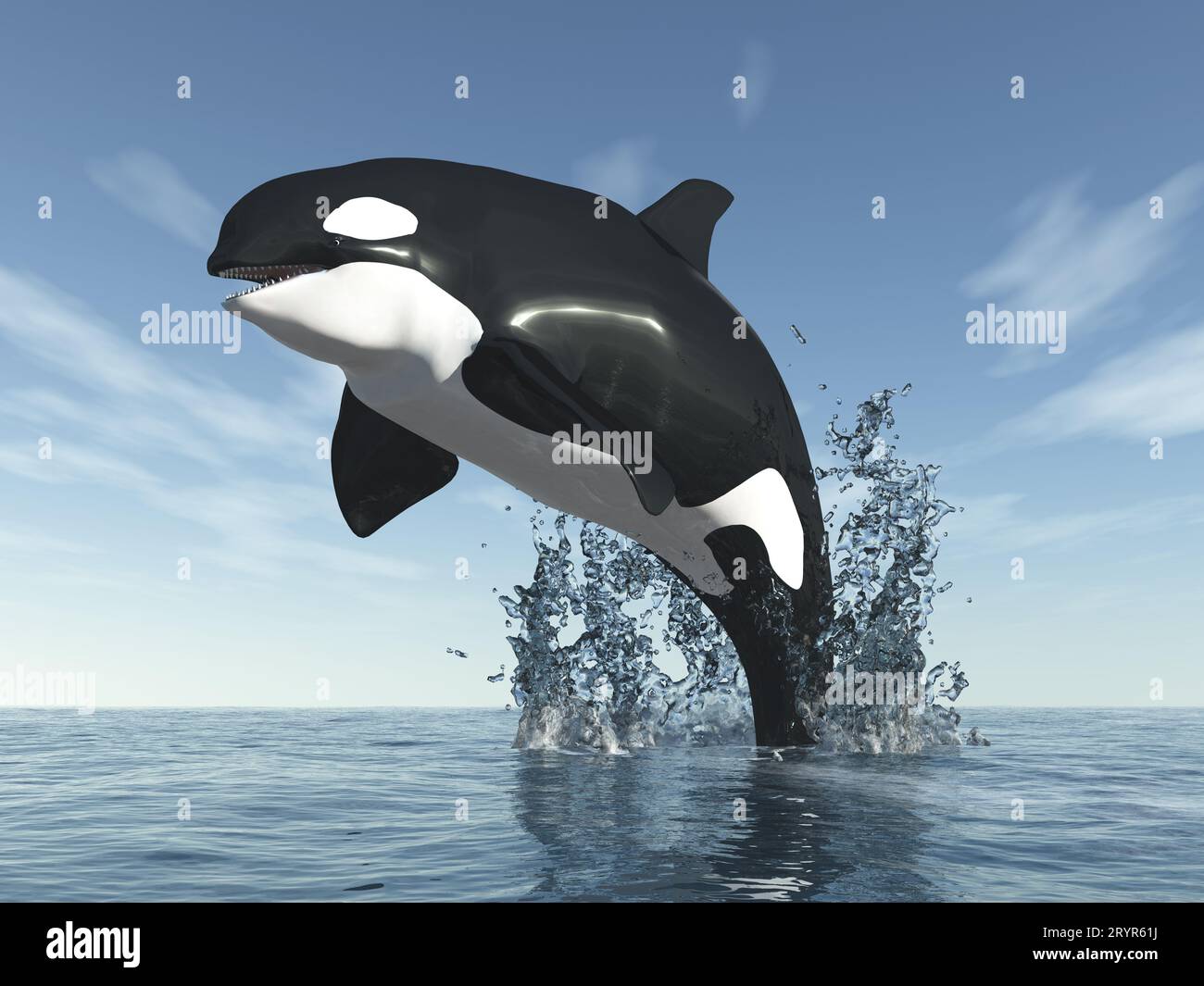Jumping whale hi-res stock photography and images - Alamy
