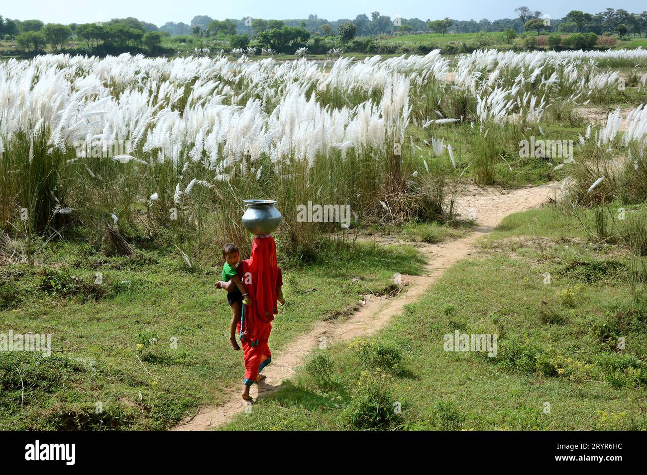 The mother carrying drinking water from far away with their children of ...