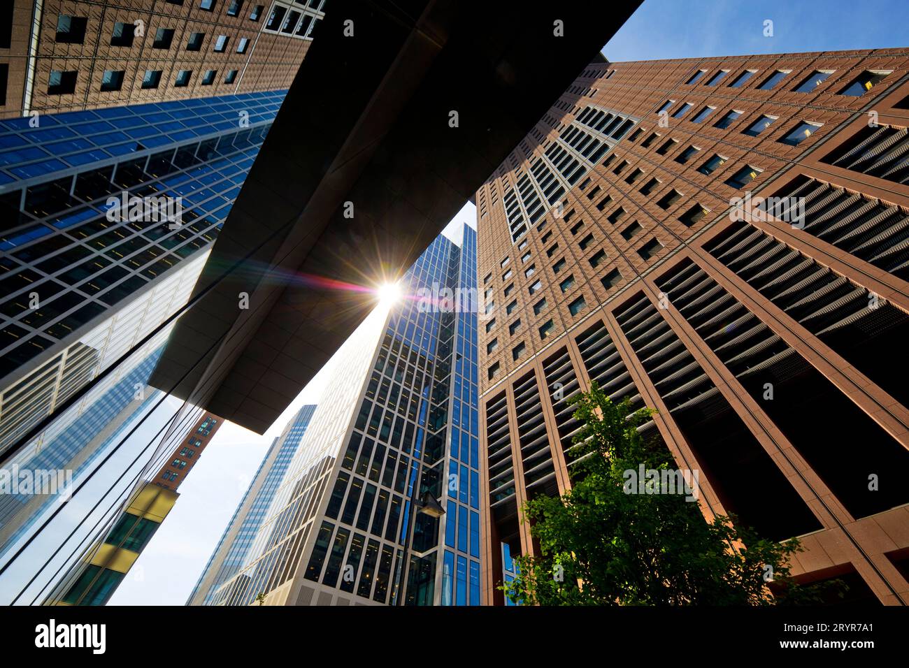 Worm's-eye view of skyscrapers in the banking district, Frankfurt am ...