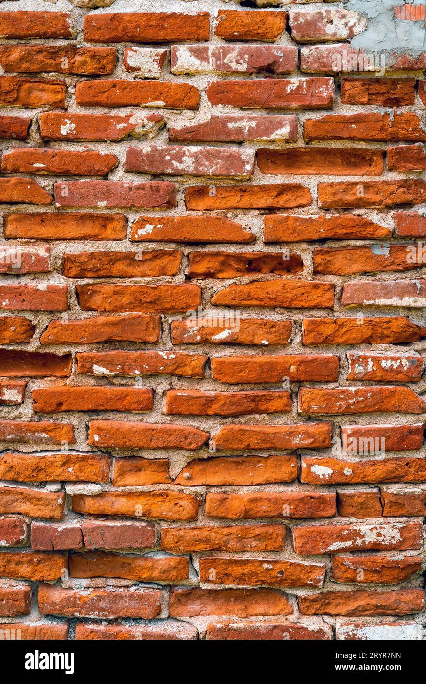 Joint hi res hi-res stock photography and images - Alamy Joint hi res hi-res stock photography and images - Alamy