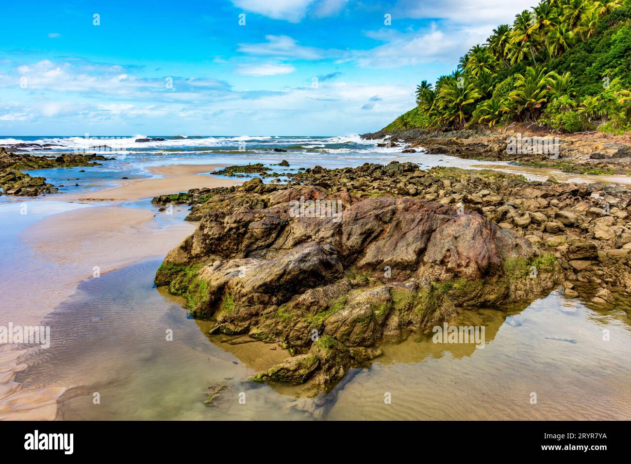 Rocky beach called Prainha surrounded by coconut trees and vegetation ...