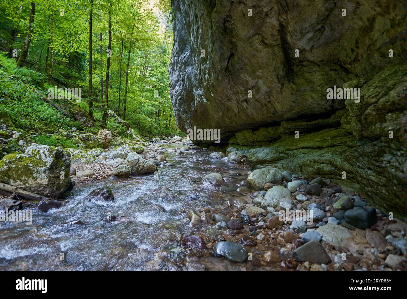 Vibrant landscape of mountain river carving its way through a canyon ...
