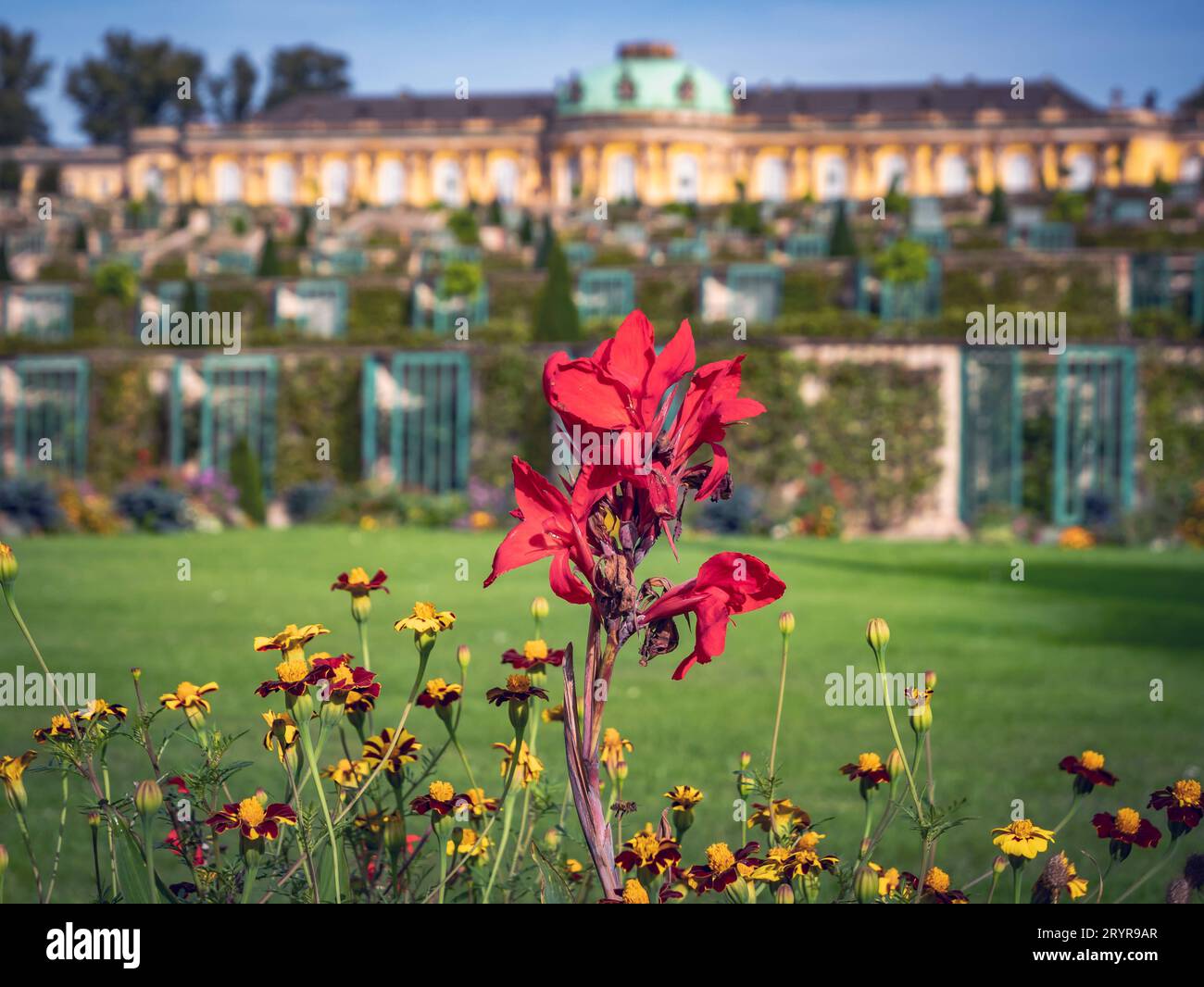 Potsdam, Landeshauptstadt Brandenburg: Schloss Sanssouci und ...