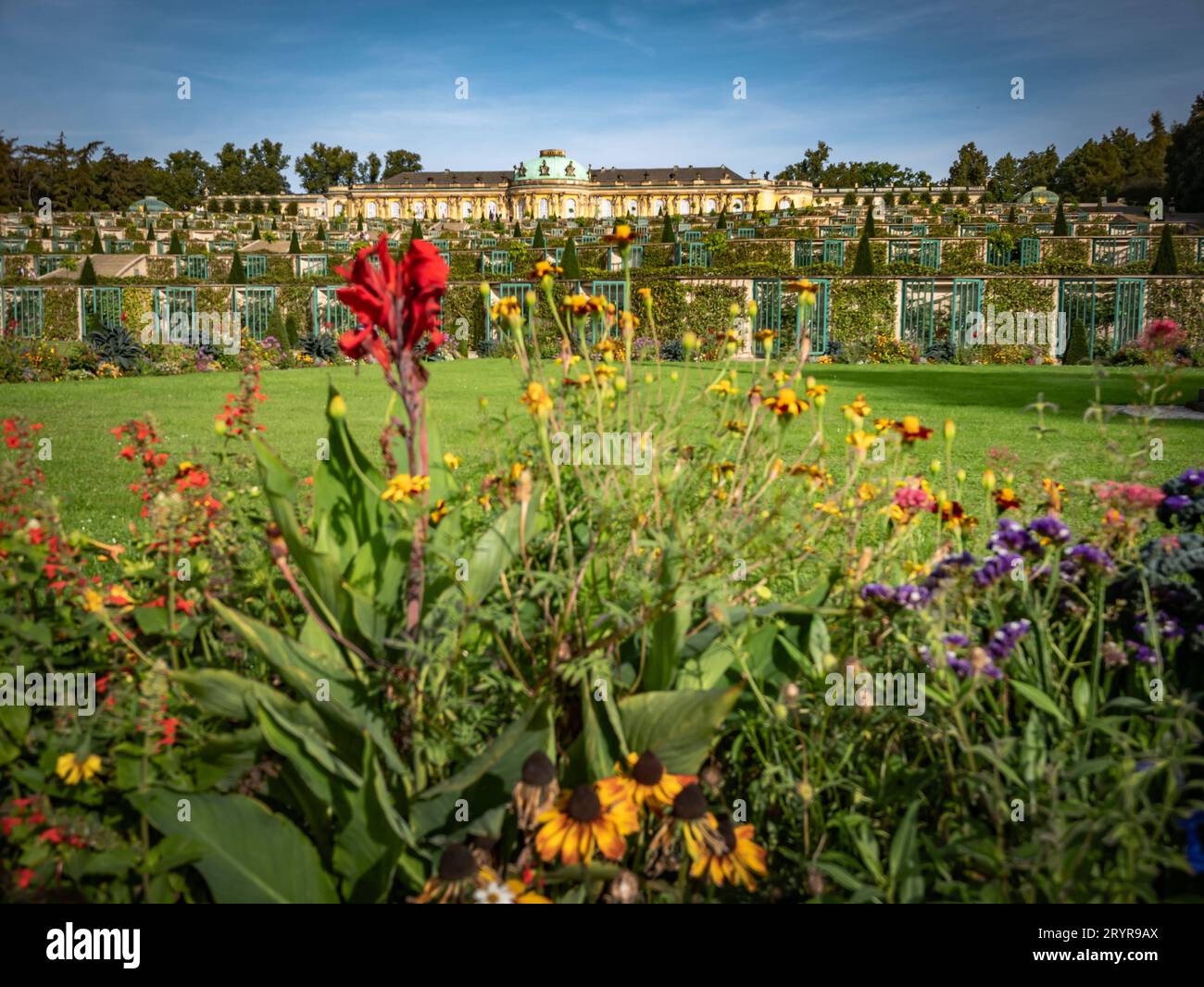 Potsdam, Landeshauptstadt Brandenburg: Schloss Sanssouci und ...