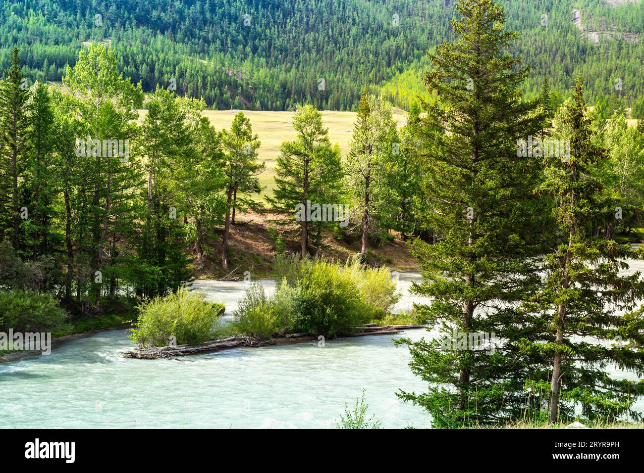 Chuja hi-res stock photography and images - Alamy