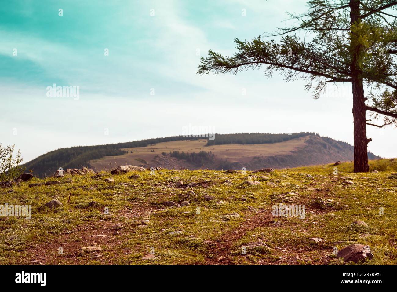 Turquoise sky hi-res stock photography and images - Alamy