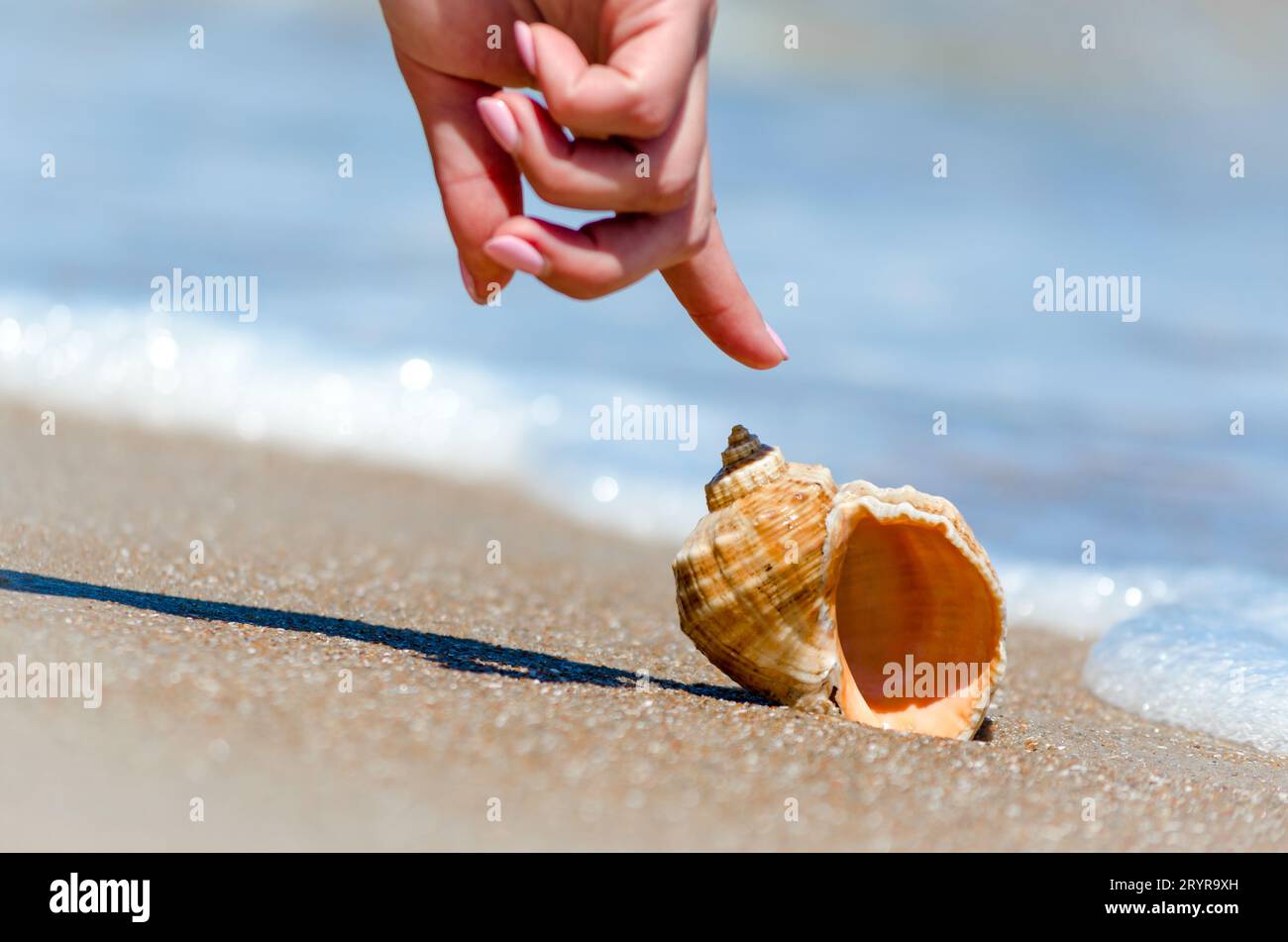 Female hand finger points to seashell in surf on beach Stock Photo - Alamy