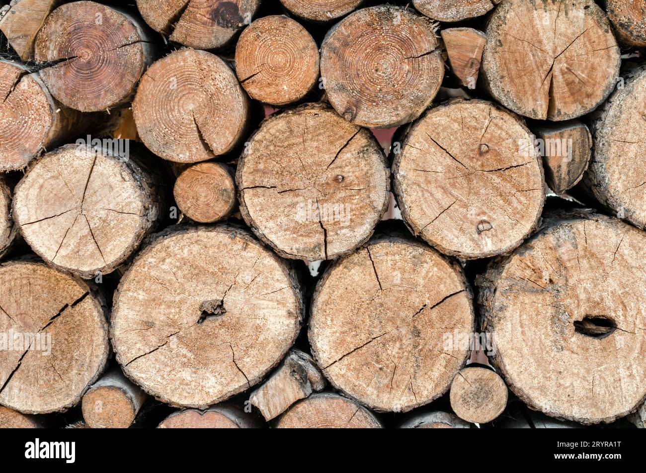 Trunks logs hi-res stock photography and images - Alamy