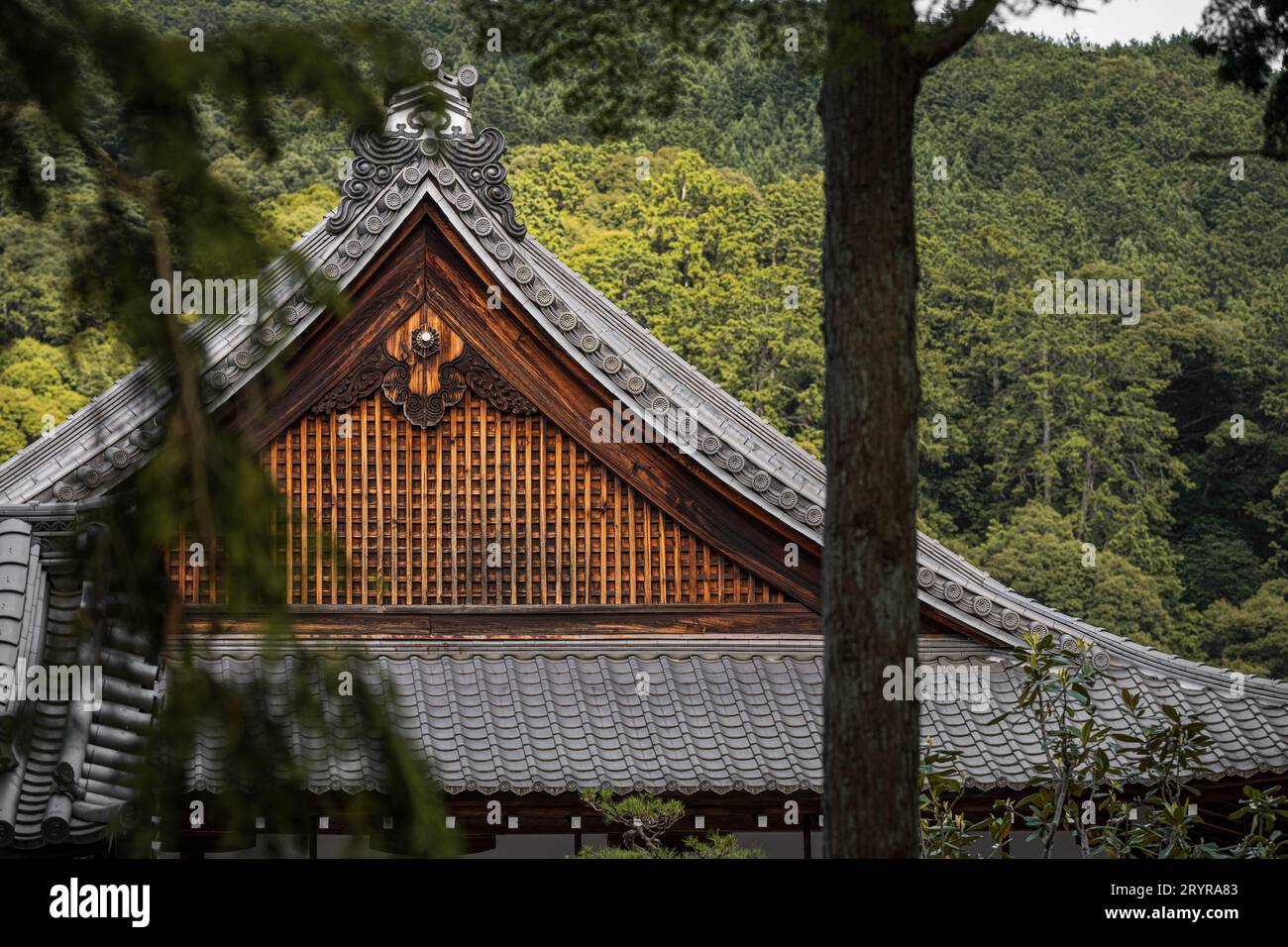 A traditional Asian-style roof with a tree on the side Stock Photo - Alamy