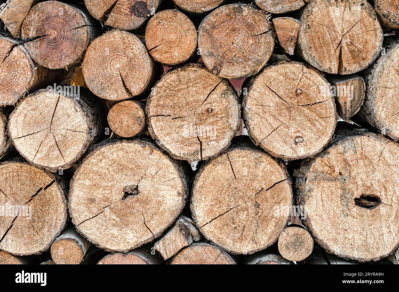 Trunks logs hi-res stock photography and images - Alamy