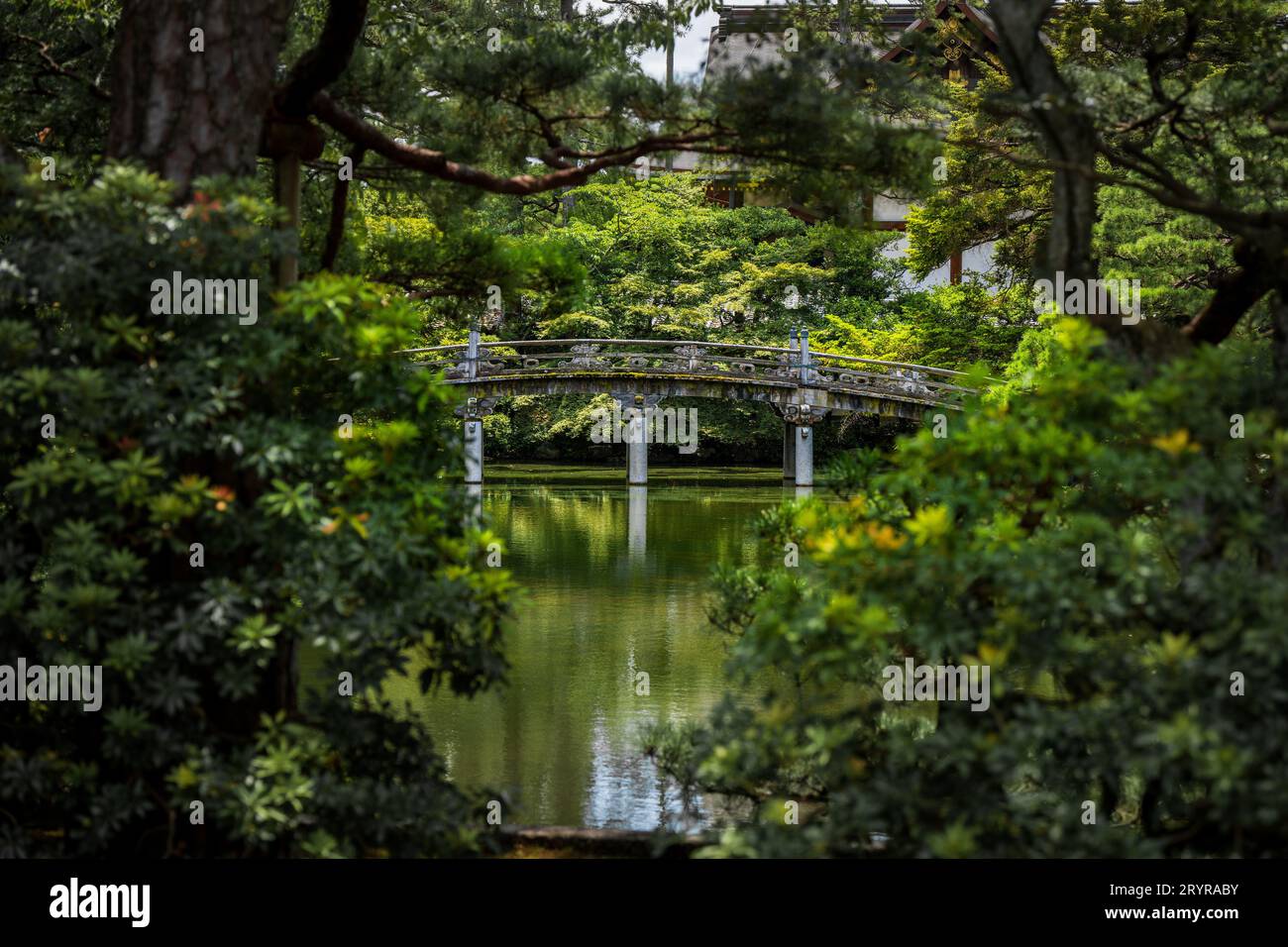 An idyllic wooden bridge stretching across a tranquil river, surrounded ...
