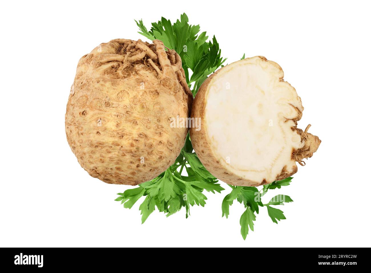 Fresh celery root isolated on white background. Top view. Flat lay ...