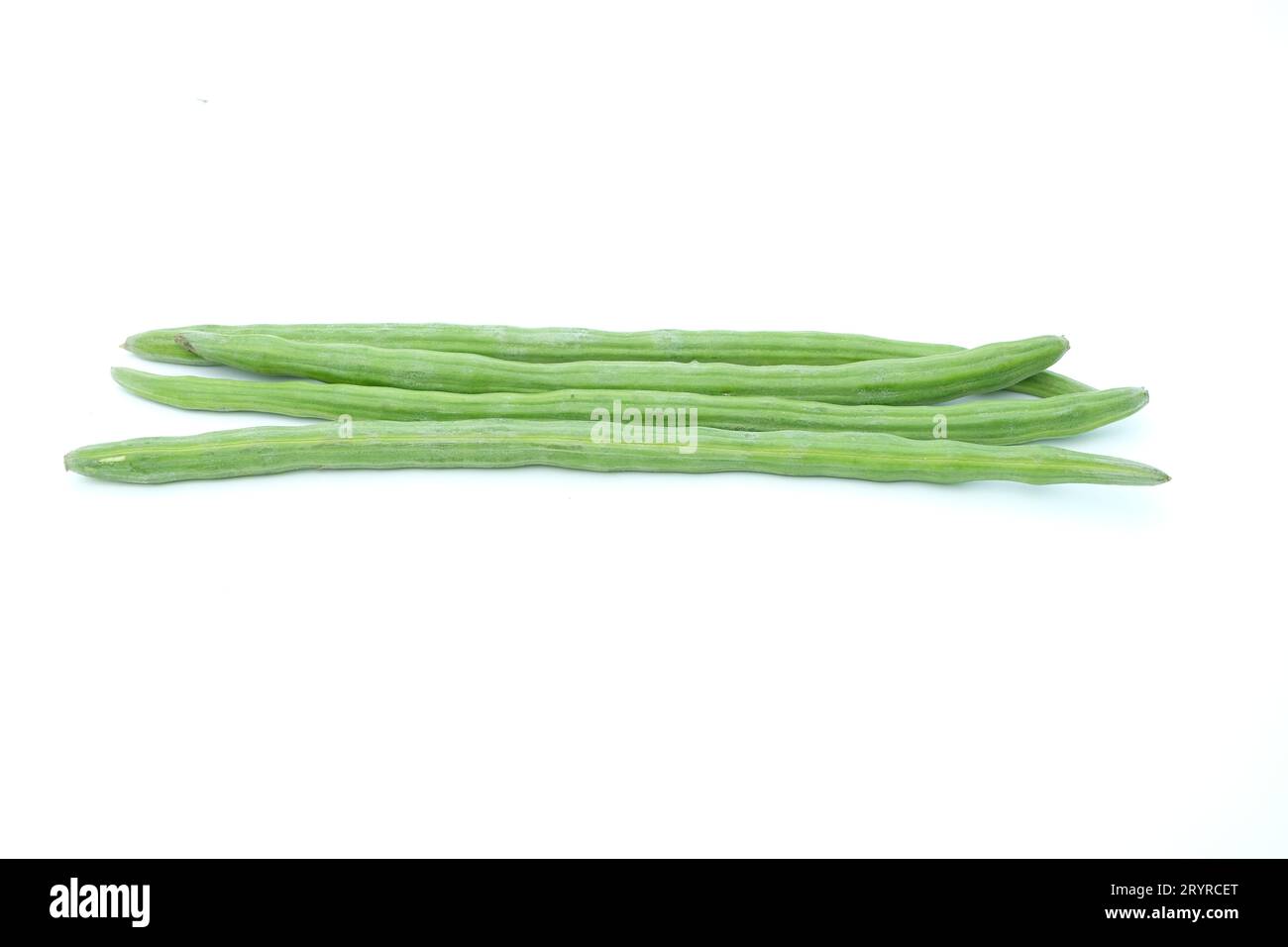 Trumstick tree hi-res stock photography and images - Alamy