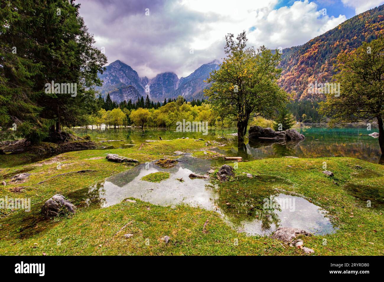 Picturesque shallow lake Stock Photo - Alamy