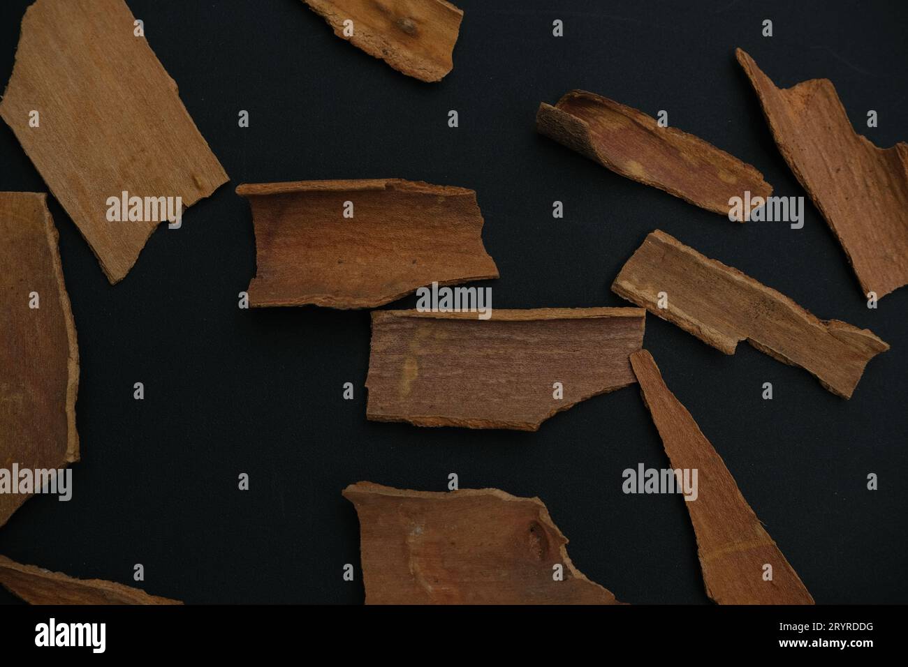 Cinnamon sticks in the shape of a circle on a white background Stock ...