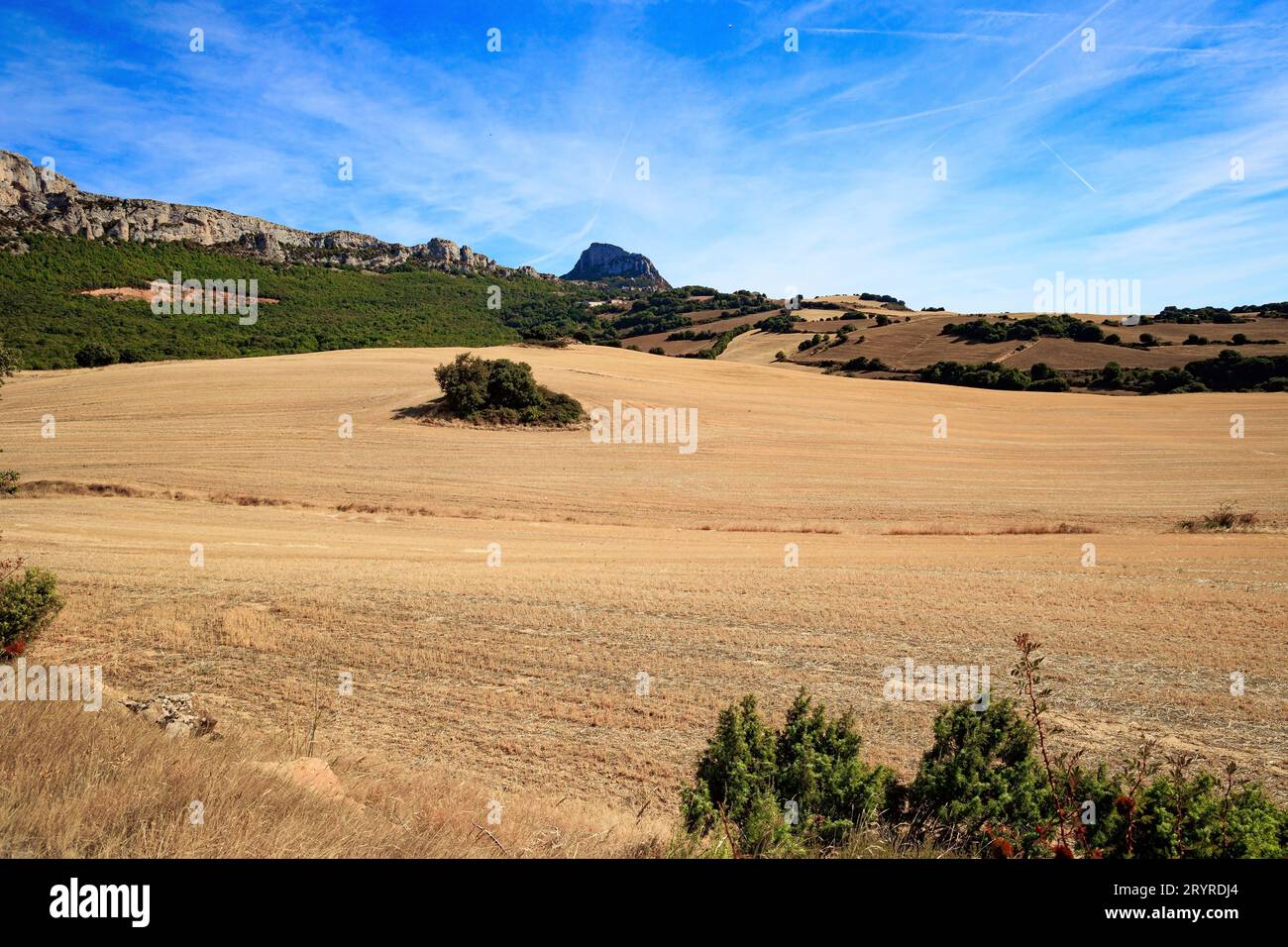 Pathway sun hi-res stock photography and images - Alamy