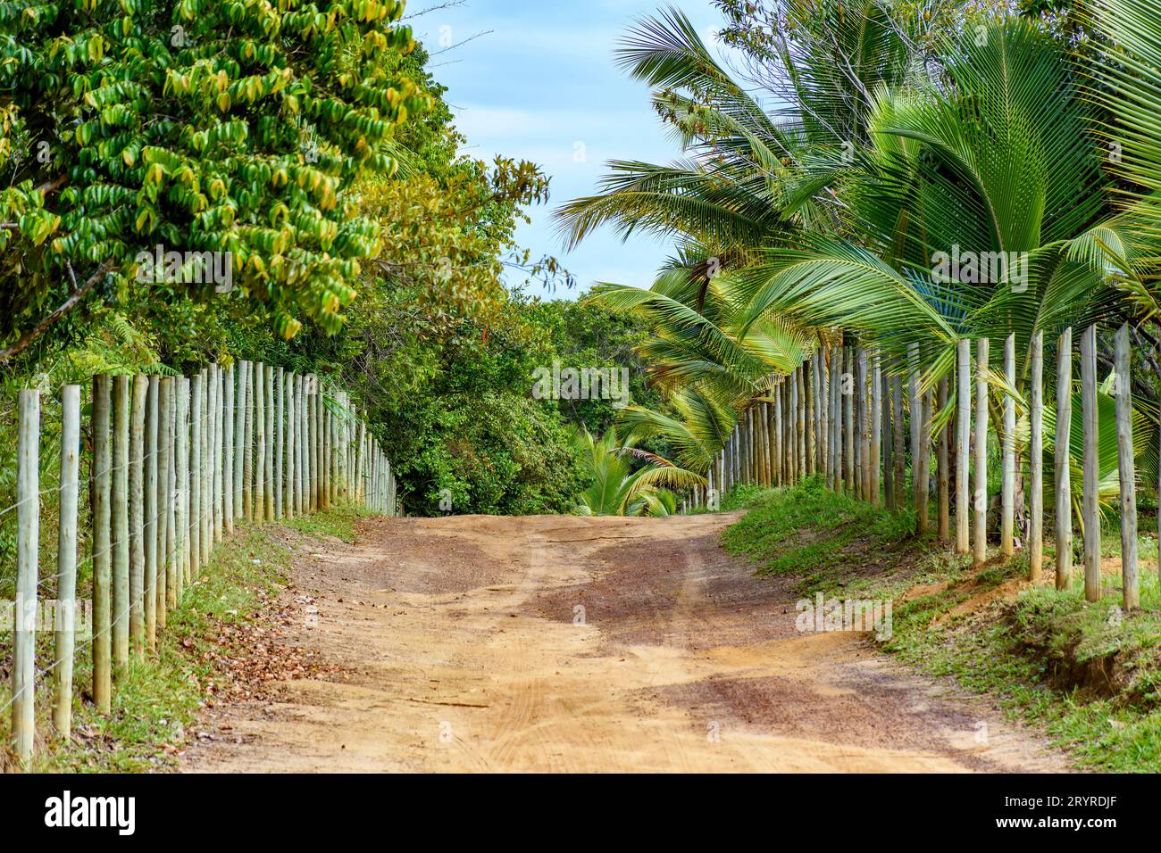 Dirt road through nature hi-res stock photography and images - Alamy
