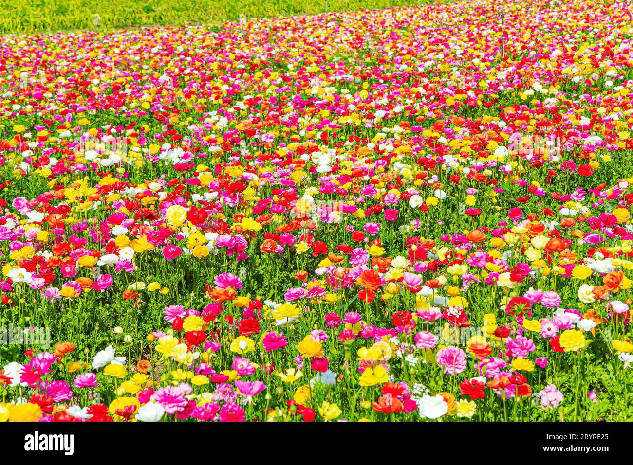 Harvest environmental hi-res stock photography and images - Alamy