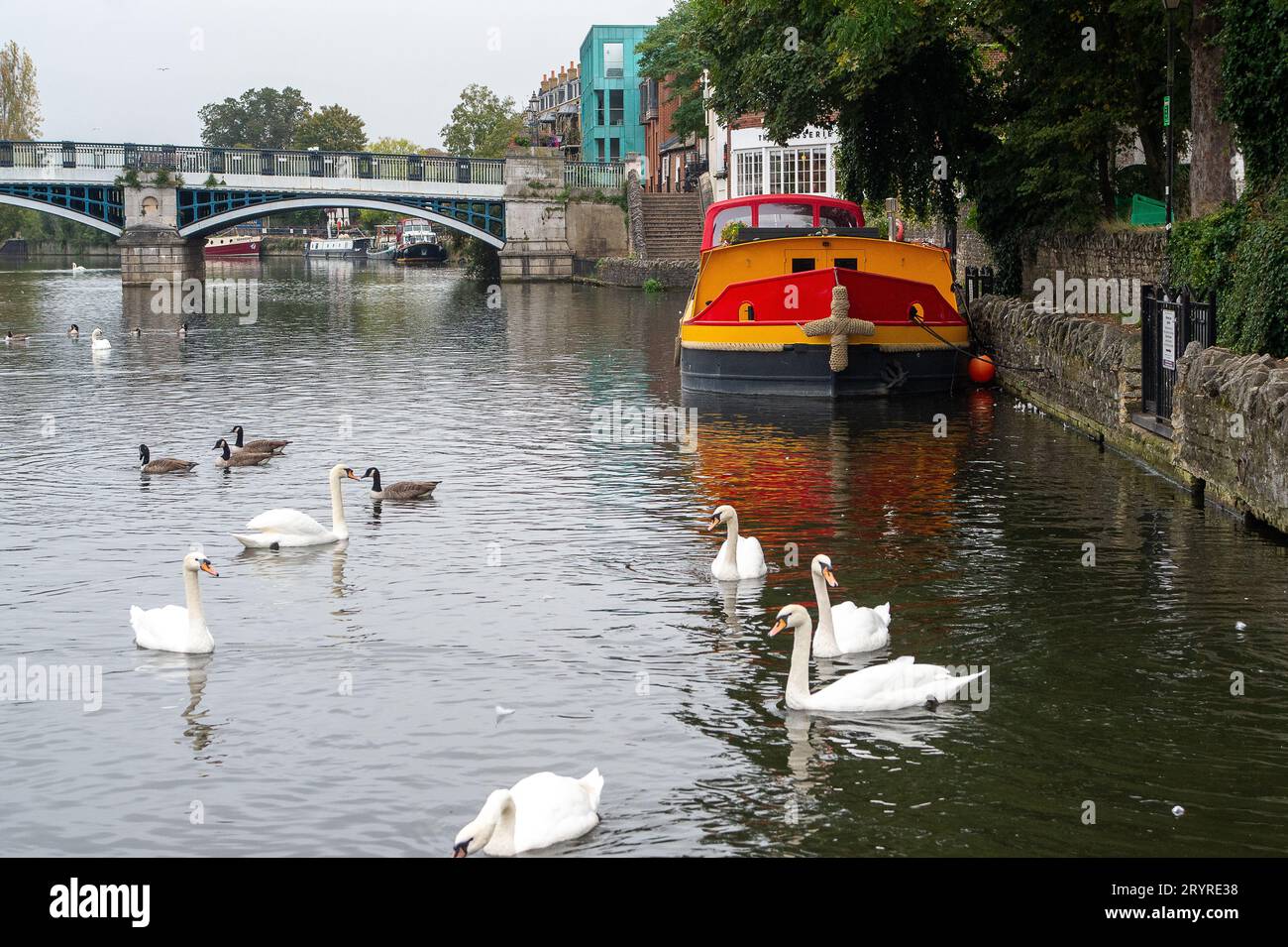 Windsor river narrowboat hi-res stock photography and images - Alamy