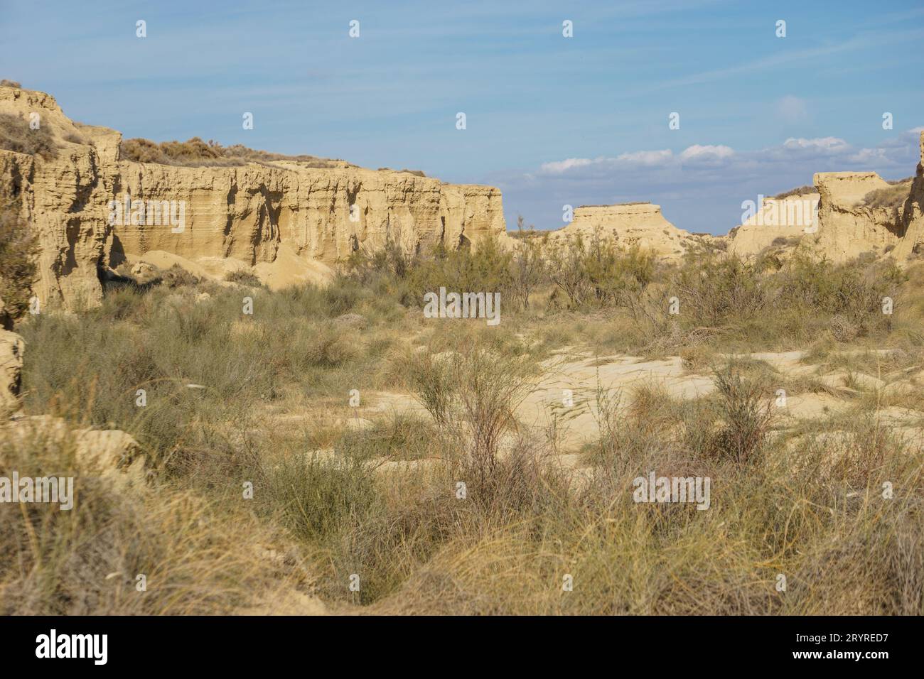 Desert landscape of the arid plateau of the Bardenas Reales at dry out ...