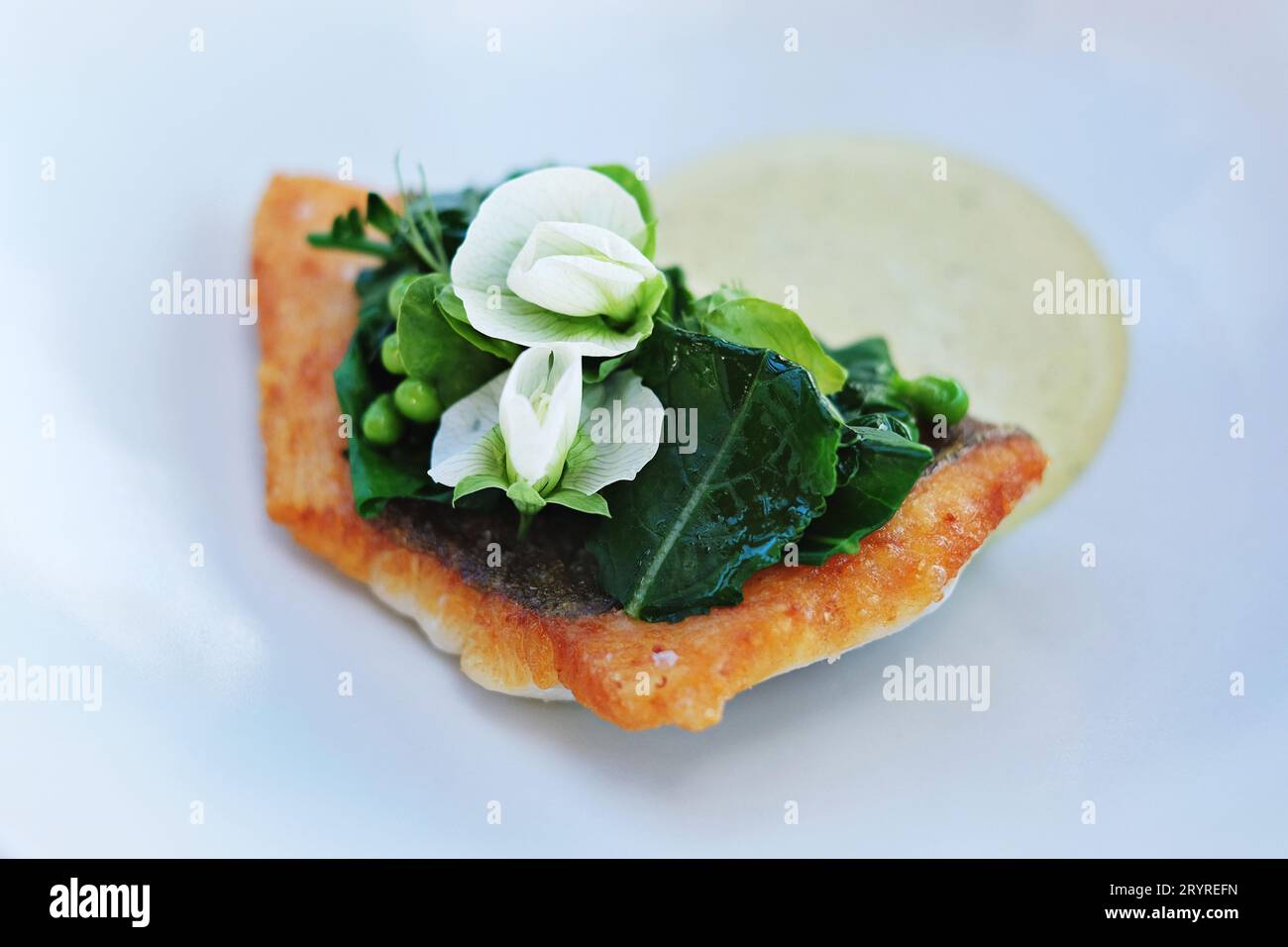 John Dory fish fillet, green Spigarello, Peas and Pea Flowers, with ...