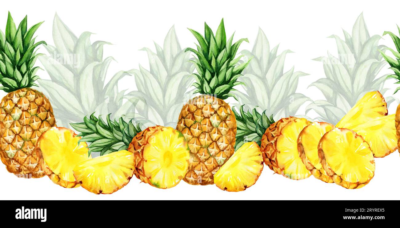 watercolor hand drawn seamless border with pineapple with half and ...