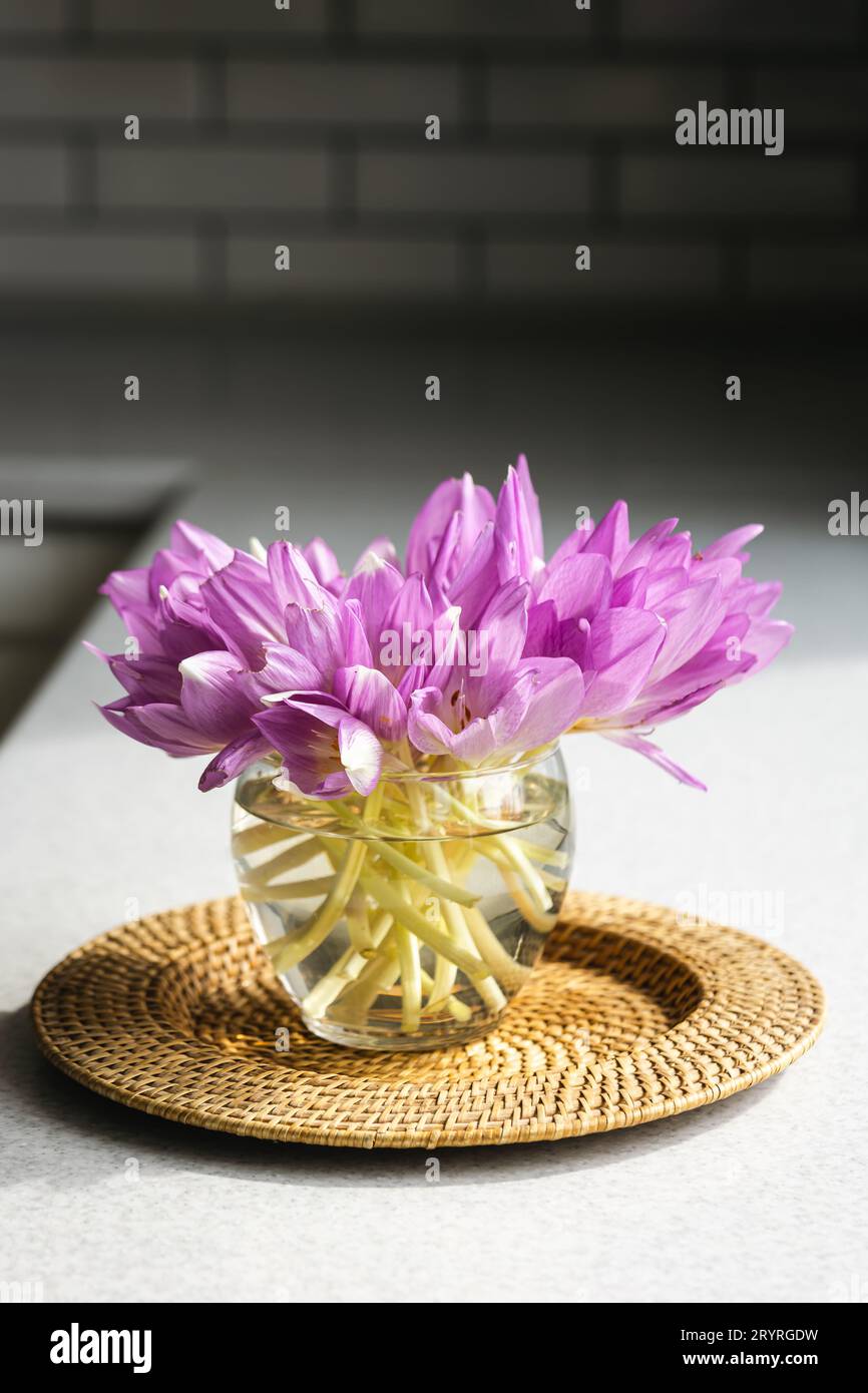 Bunch of crocus flowers in a glass vase in the kitchen Stock Photo - Alamy