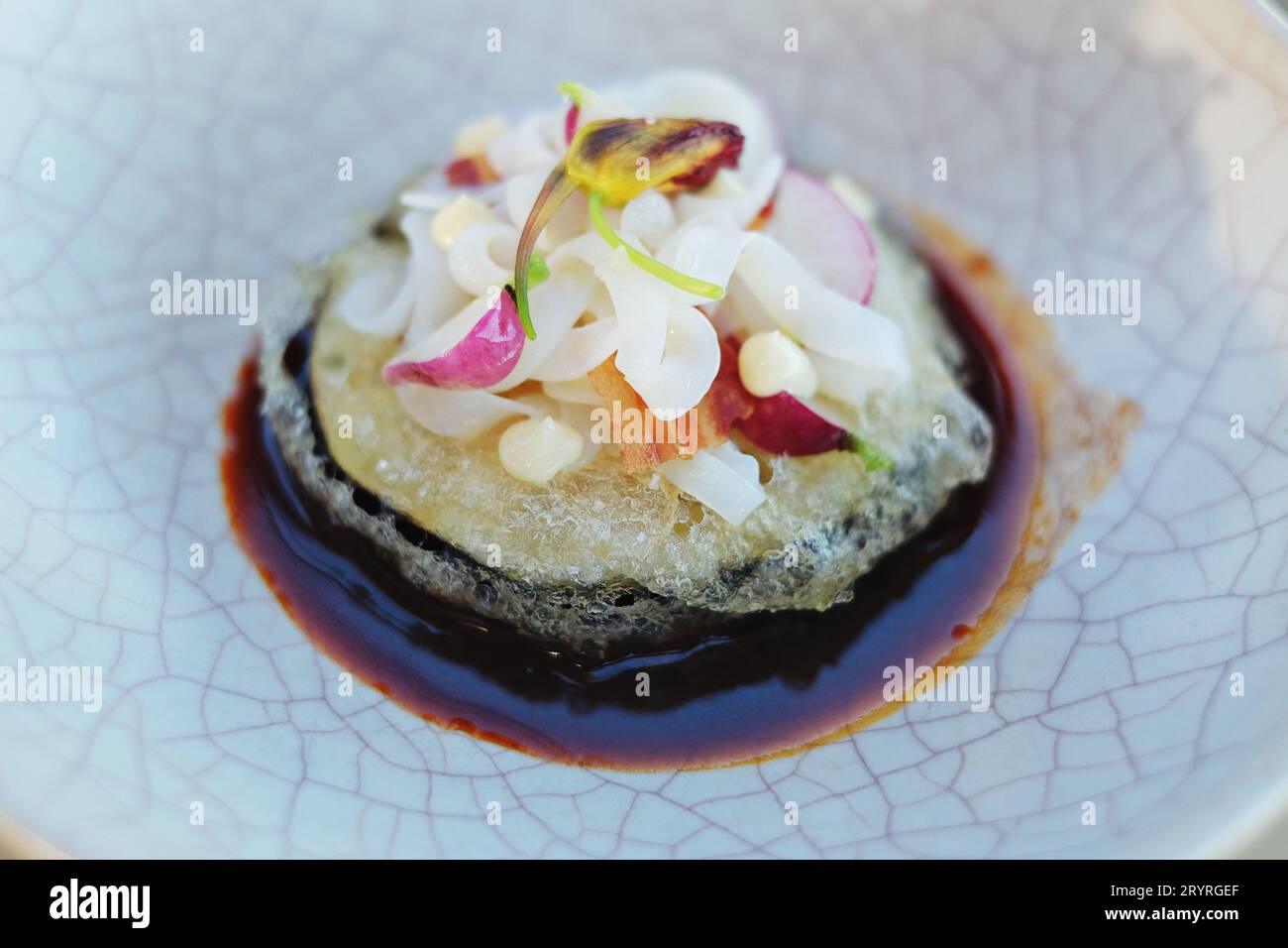 Xo squid hi-res stock photography and images - Alamy