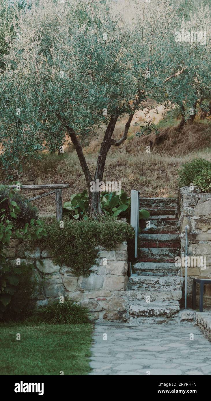 Greenery hillside backdrop hi-res stock photography and images - Alamy