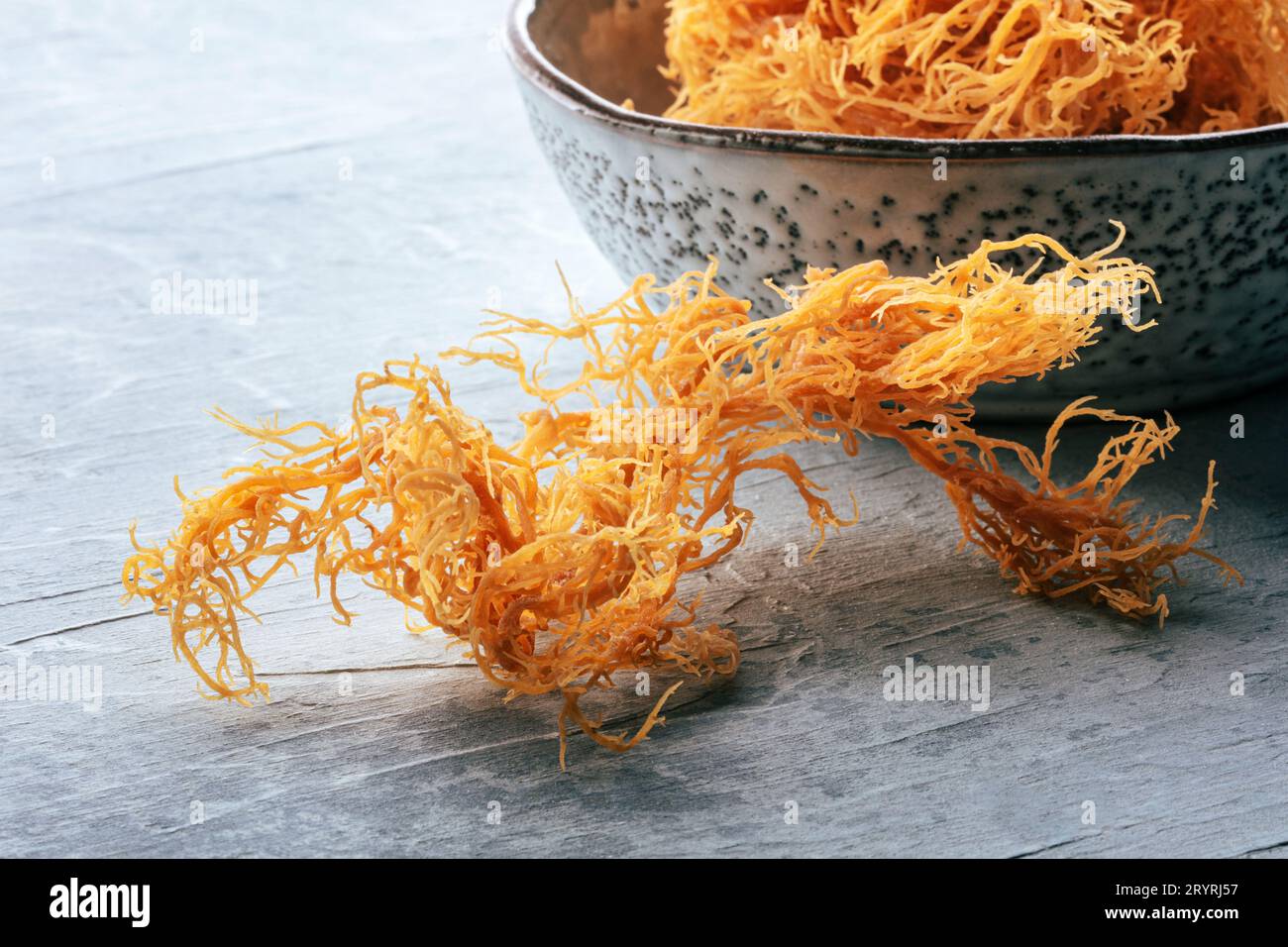 Irish sea moss, Chondrus Crispus, healthy organic raw seaweed, dried ...