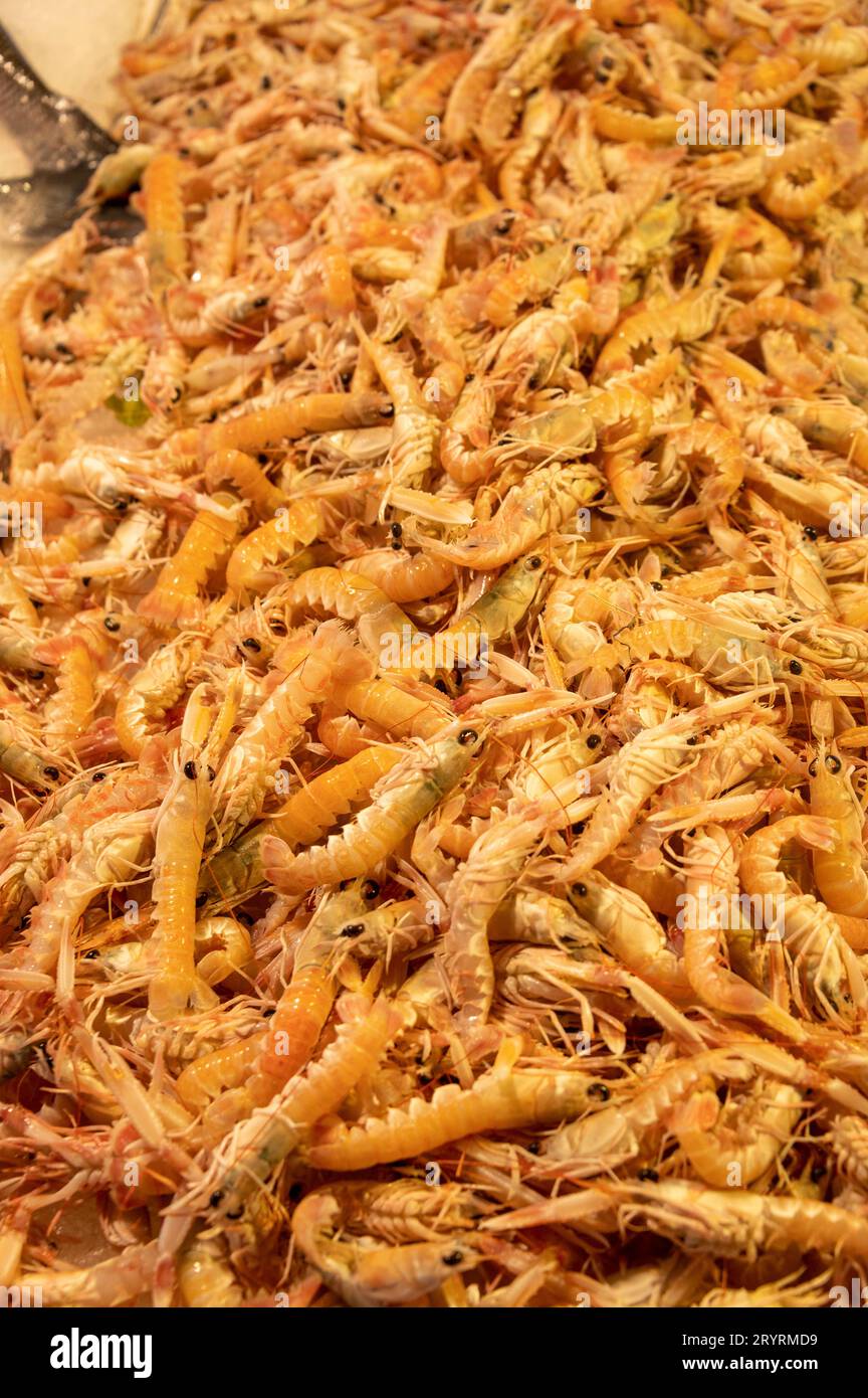 Freshly caught prawns on display at the Neo-Gothic indoor Rialto fish ...