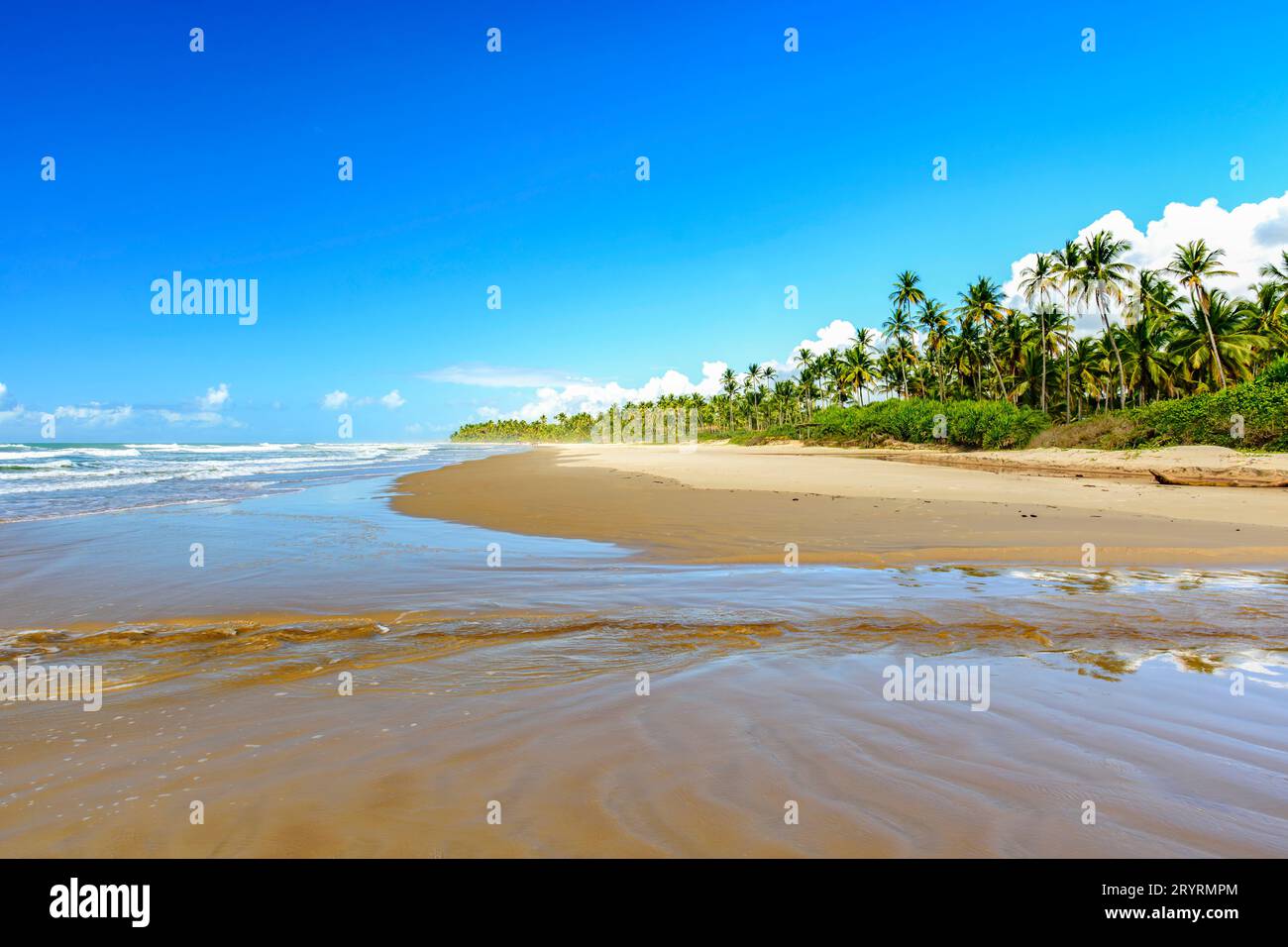 Sargi beach surrounded by coconut trees and completely deserted Stock ...