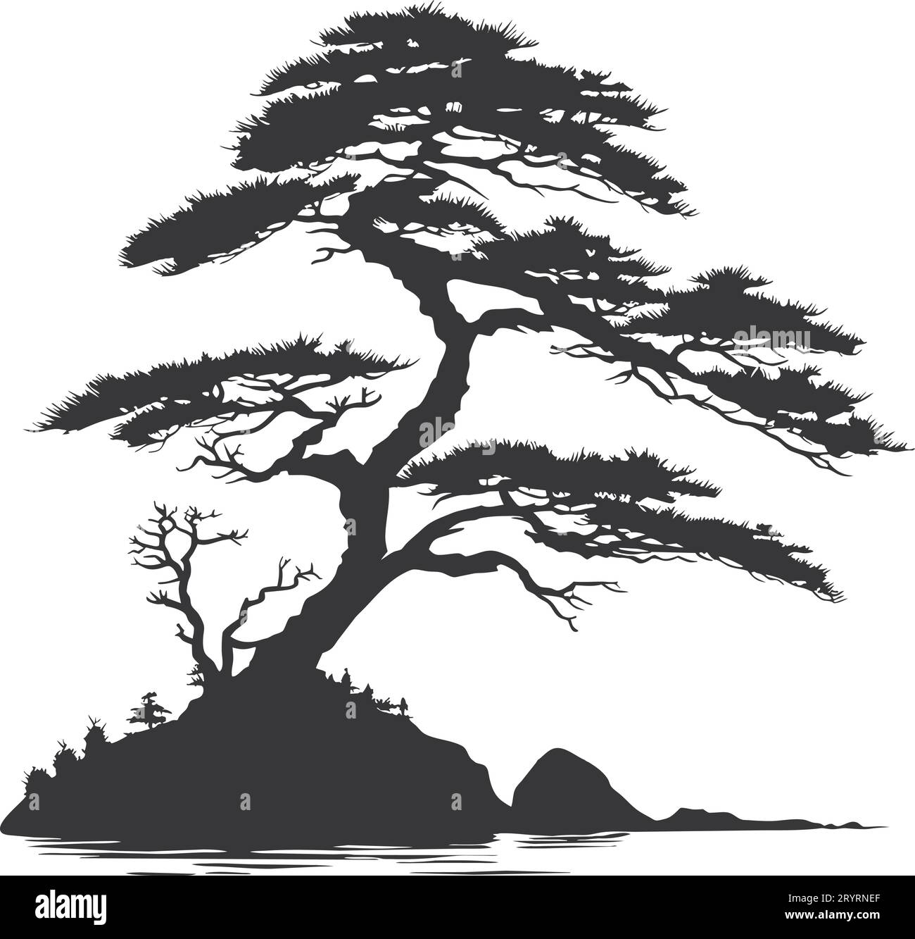tree pine silhouette, cypress evengreen vector, cedar forest wood ...