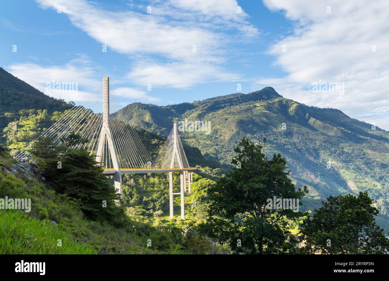 Bridge in Colombia Stock Photo - Alamy