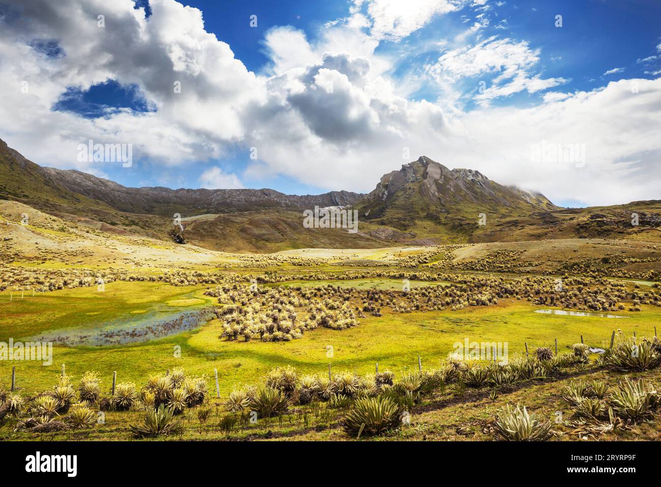 Mountains in Colombia Stock Photo - Alamy