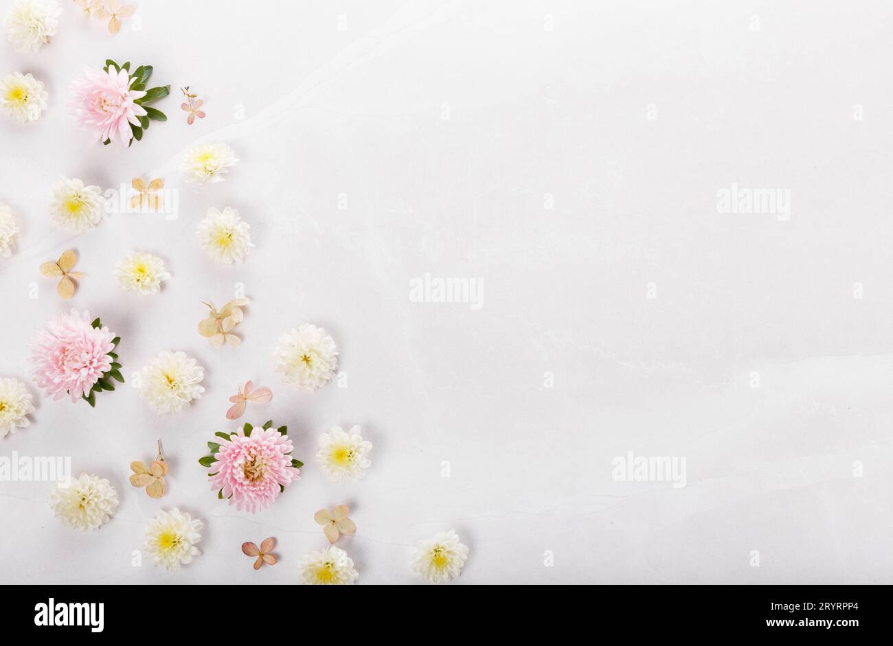 Spring frame of small flowers and aster, floral arrangement Stock Photo ...