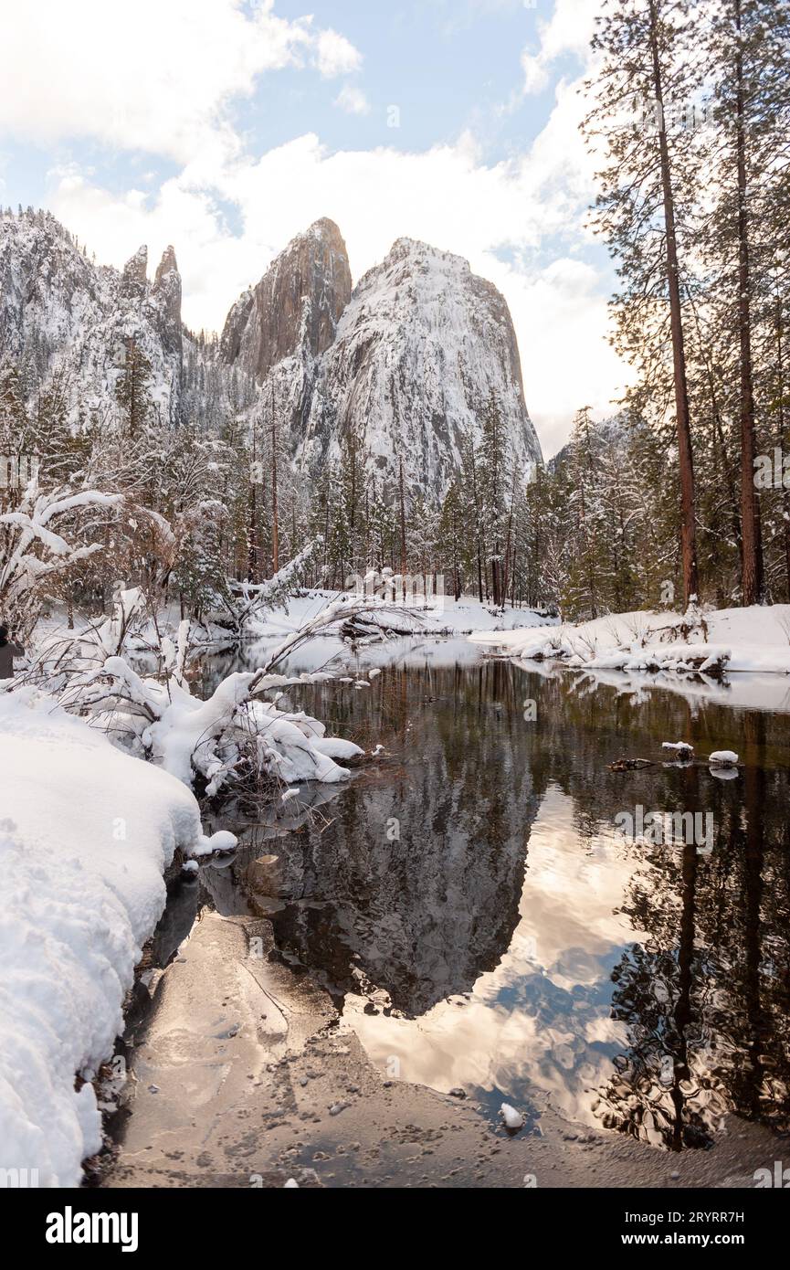 Snow-covered trees line the merced river in Yosemite valley on a late ...
