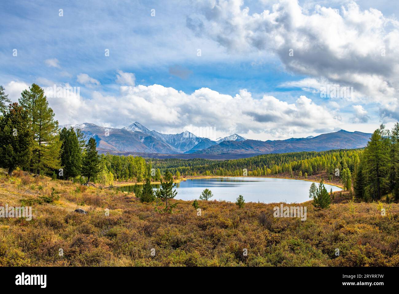 Siberia forest hi-res stock photography and images - Alamy