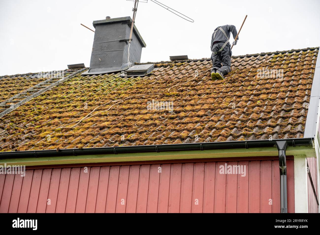 Moss cleaner hi-res stock photography and images - Alamy
