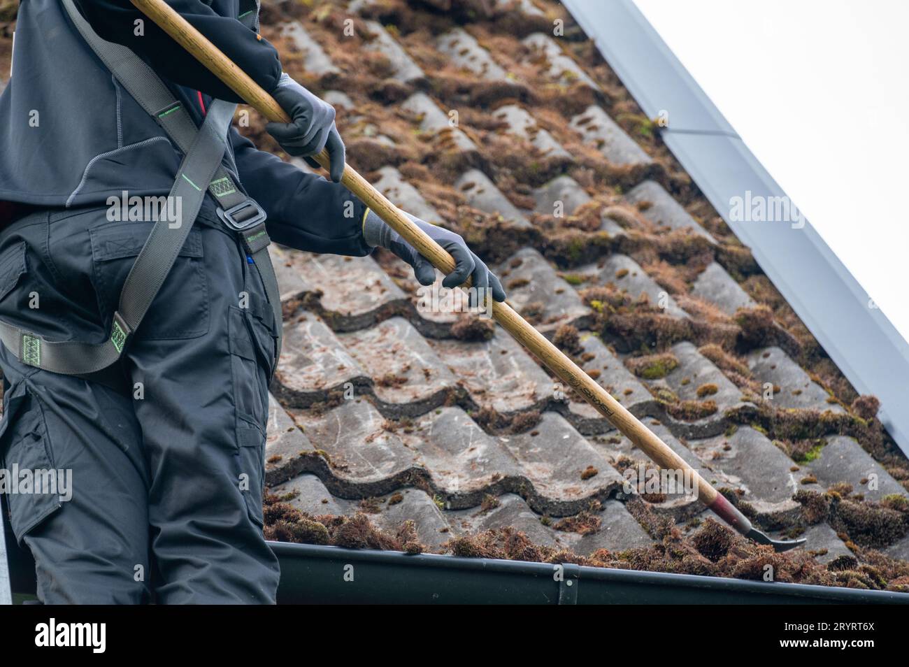 Moss cleaner hi-res stock photography and images - Alamy