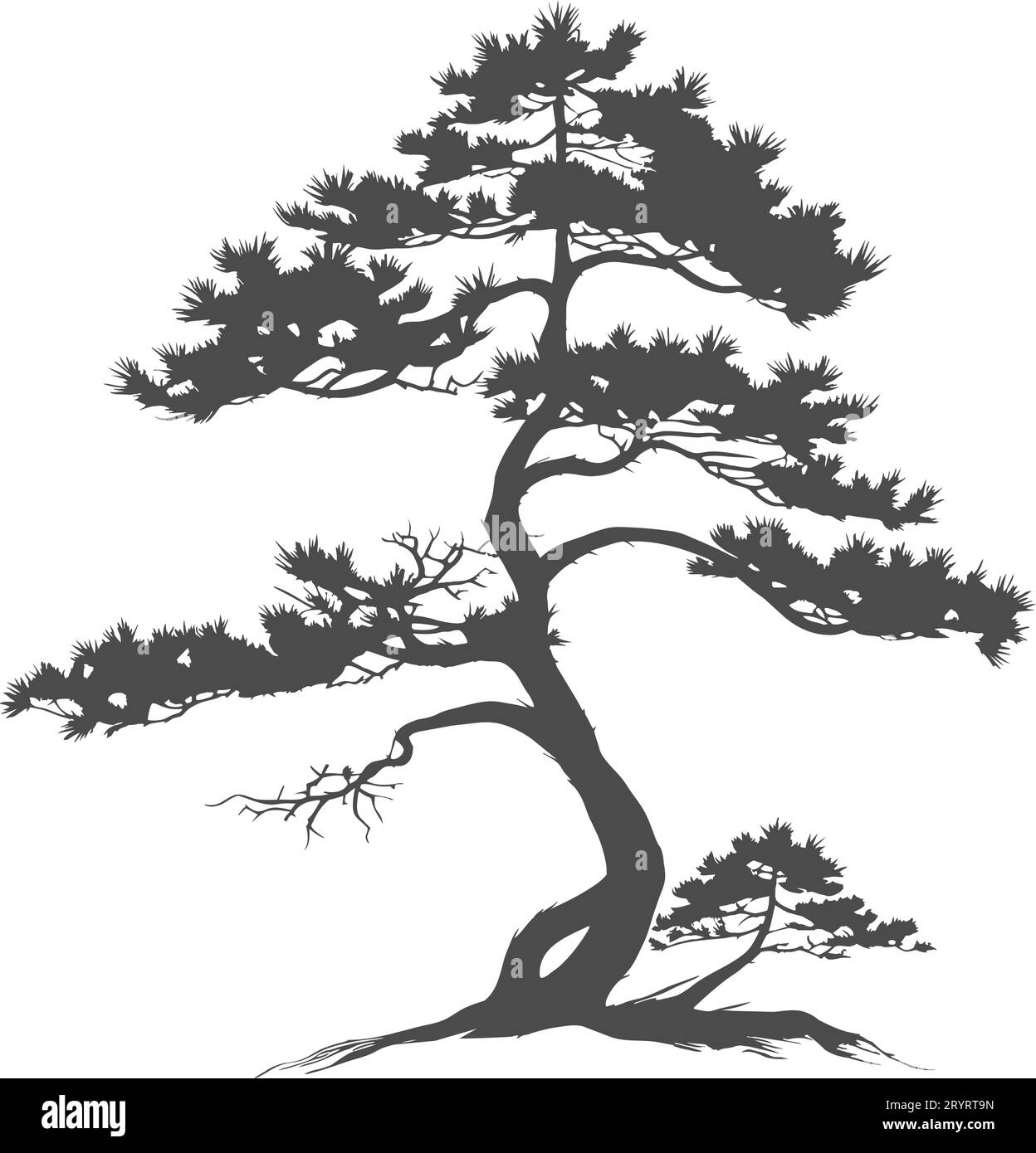 tree silhouette cedar vector, tattoo logo cypress template design, tree ...
