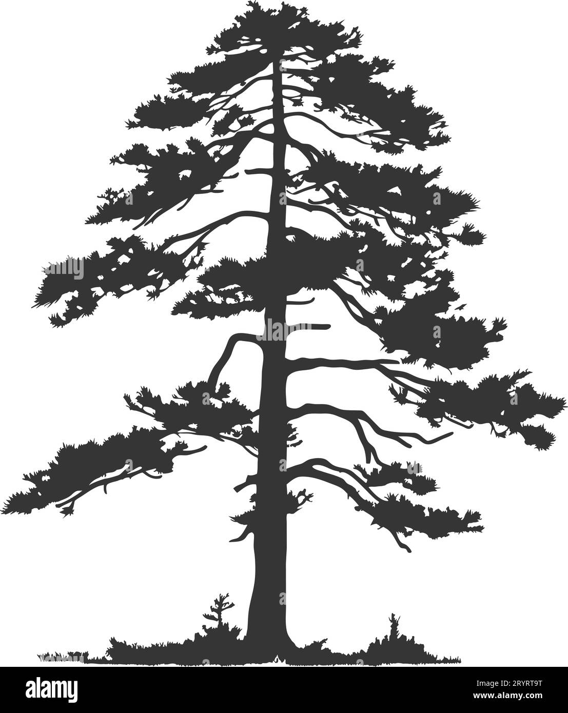 Evergreen Silhouette Tattoos Pine Tree Tattoos: Find Your Evergreen