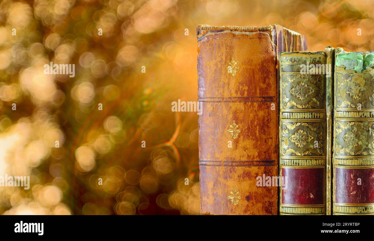 stack of vintage books against lens flare and colored trees background ...