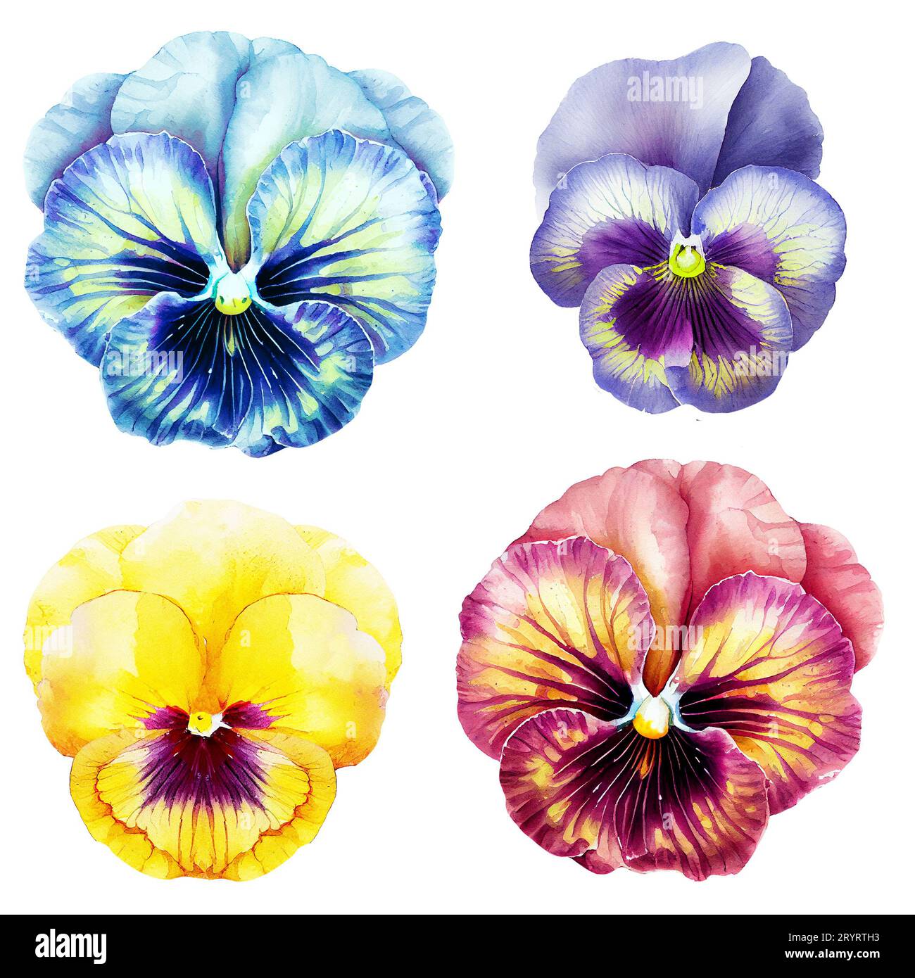 Violet watercolor flowers hi-res stock photography and images - Alamy