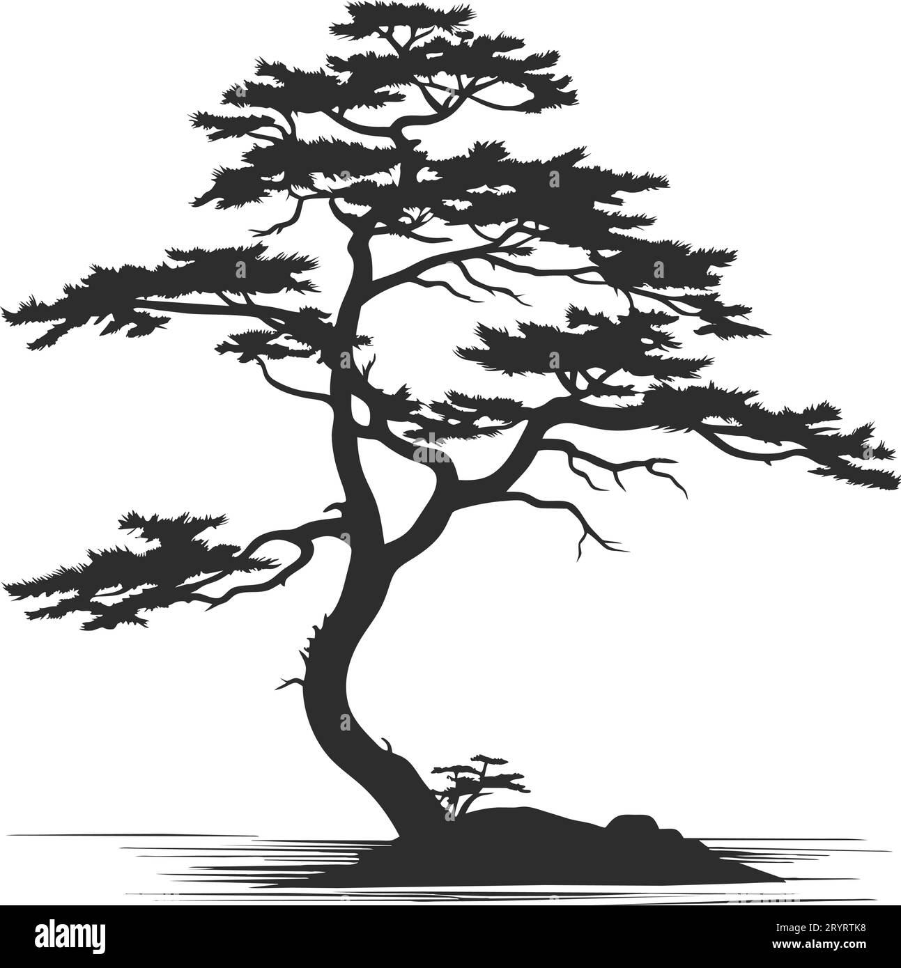 tree pine silhouette, cypress evengreen vector, cedar forest wood ...